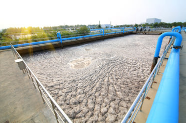 Waste and sewage businesses: disposal of sewage sludge | NetRegs ...
